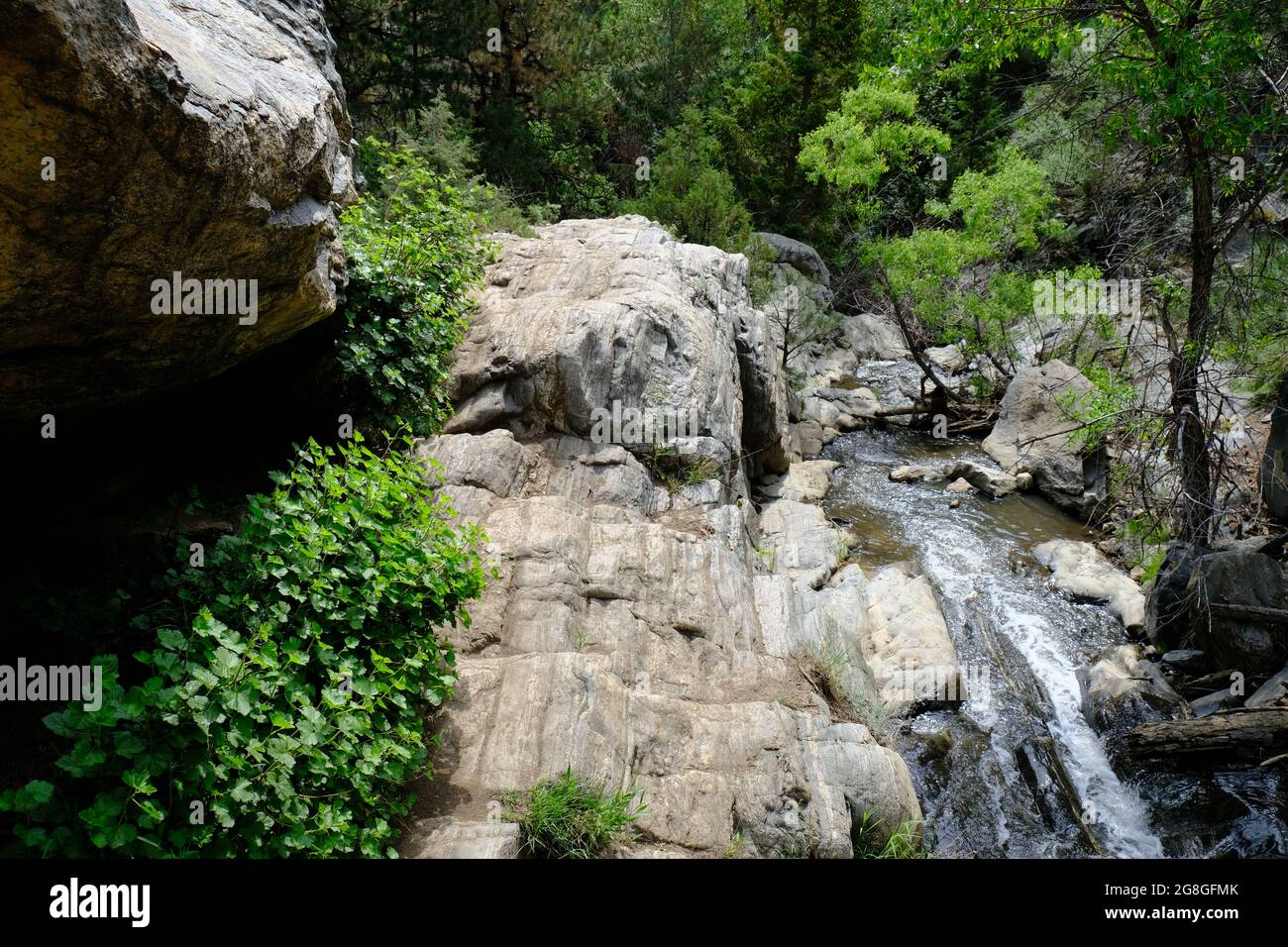 Beaver Brook Trail in Colorado Stock Photo - Alamy