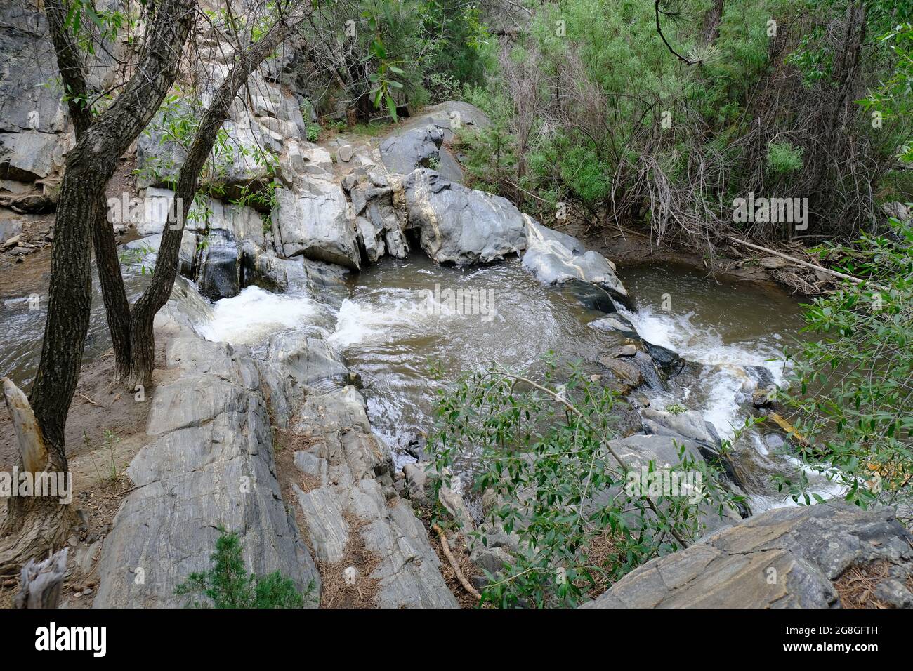 Beaver trail hi-res stock photography and images - Alamy