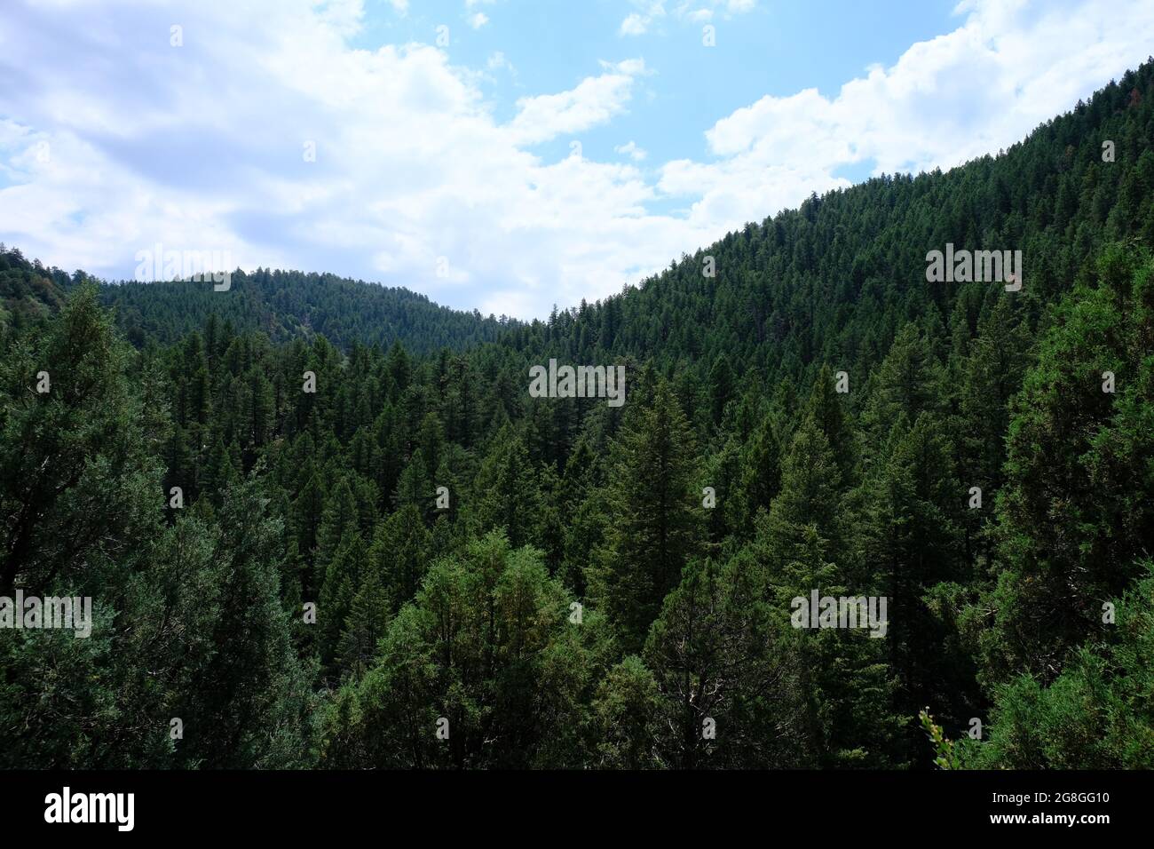 Beaver Brook Trail in Colorado Stock Photo - Alamy