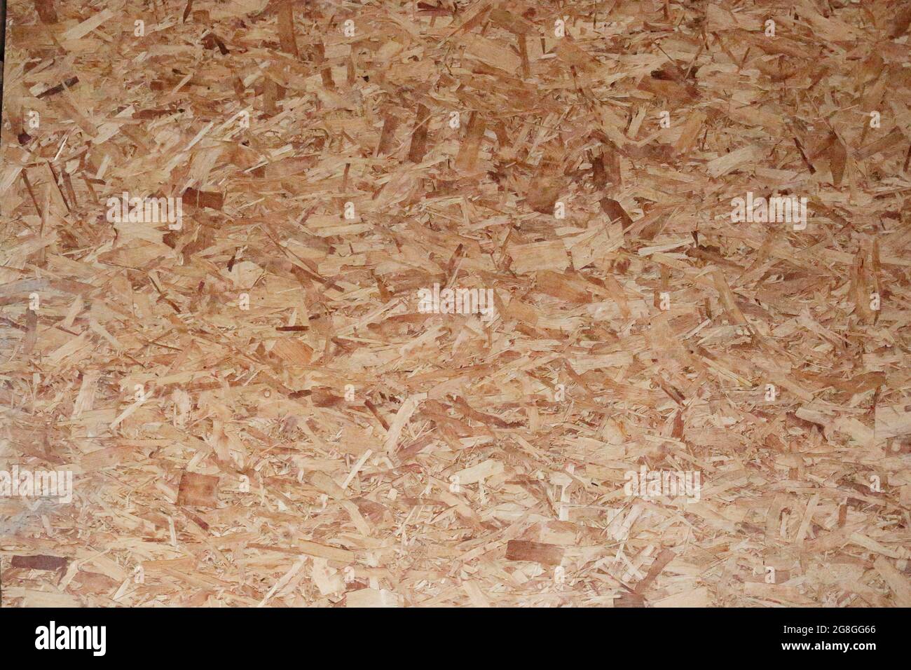 Woodland, Forest Trees Texture, Background Texture, OBS Stock Photo - Alamy