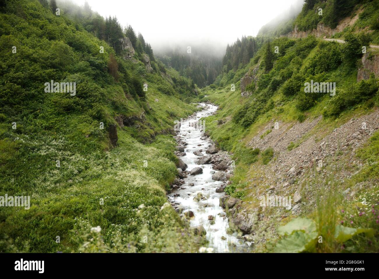 Black Sea, Rize Cat Creek Village, Turkey, View Stock Photo - Alamy
