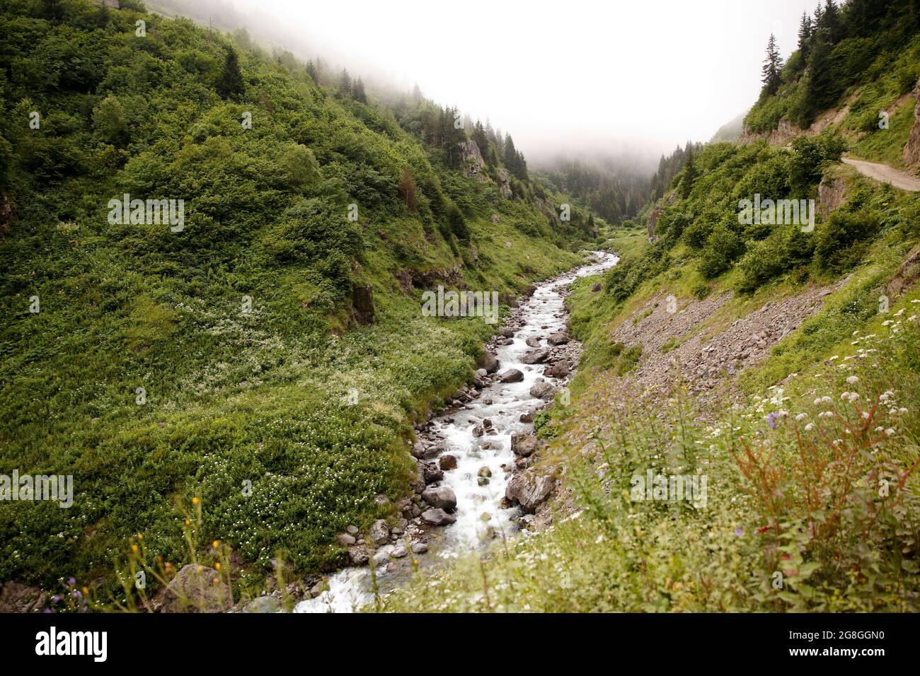 Black Sea, Rize Cat Creek Village, Turkey, View Stock Photo - Alamy