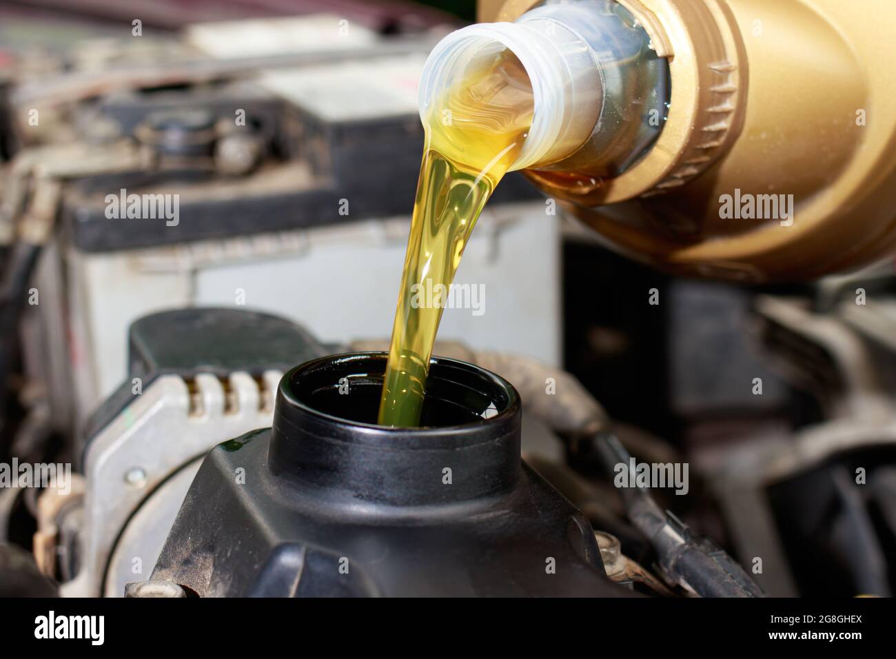 The car maintenance master pours engine oil for the car engine. Car ...