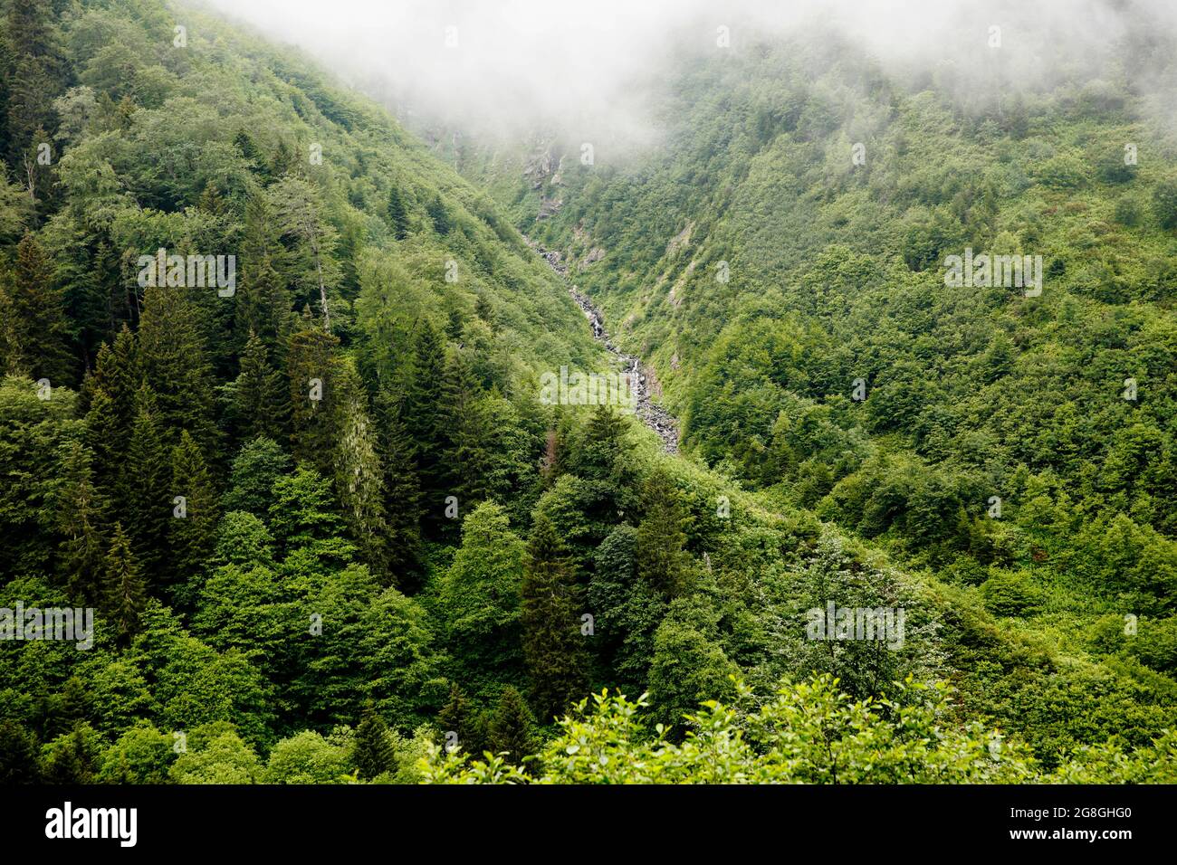 Aerial canada boreal forest hi-res stock photography and images - Alamy