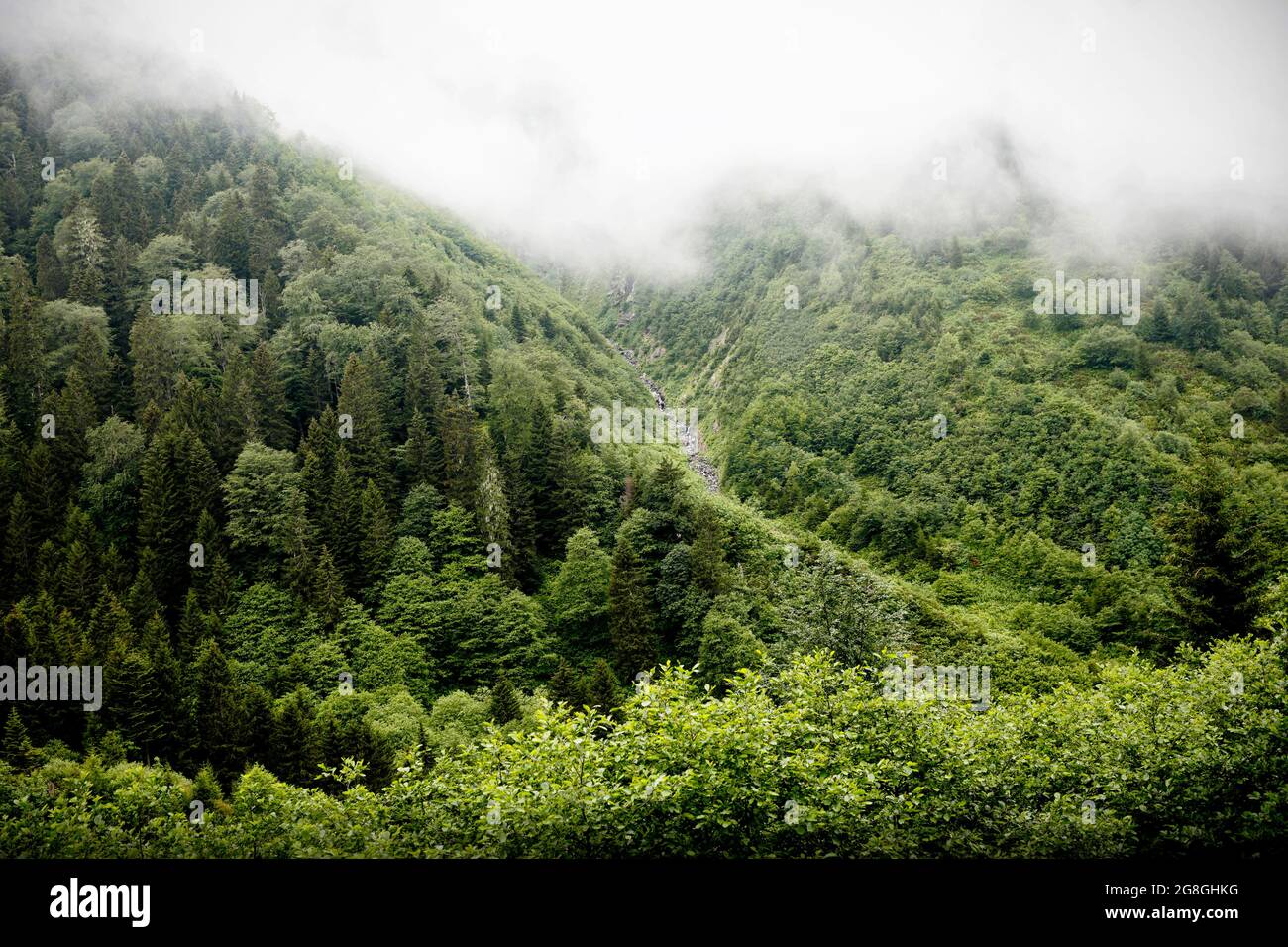 Canada taiga aerial hi-res stock photography and images - Alamy