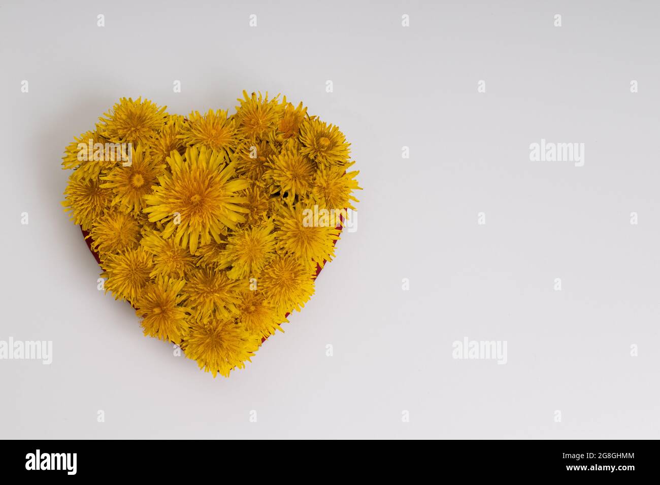 Floral heart valentines day hi-res stock photography and images - Alamy