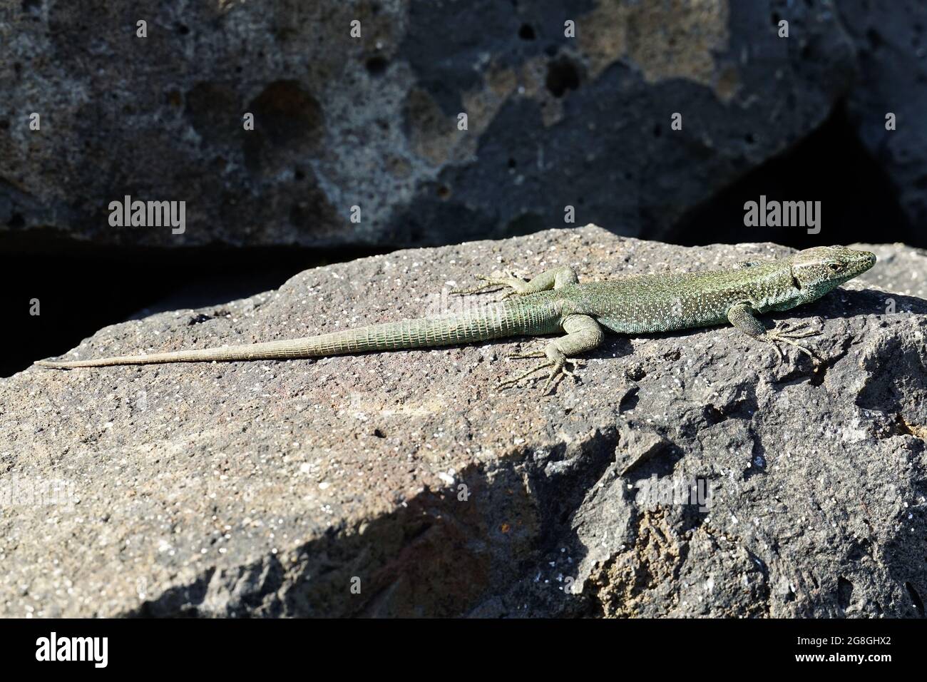 Lon 16 93259500 hi-res stock photography and images - Alamy