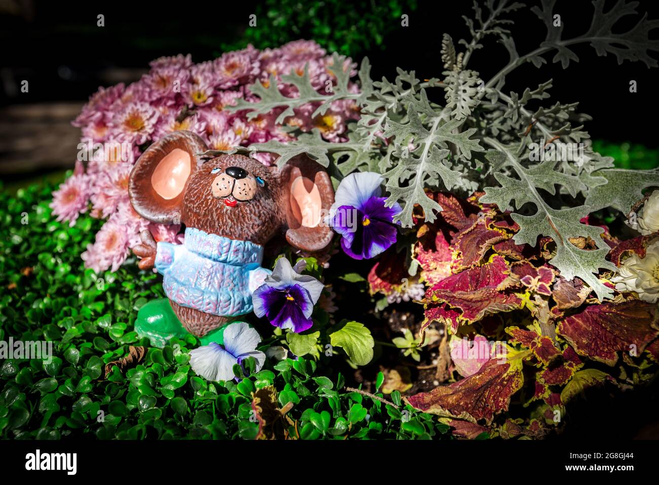 Colorful autumn outdoor still life with fall flowers and mouse Stock ...