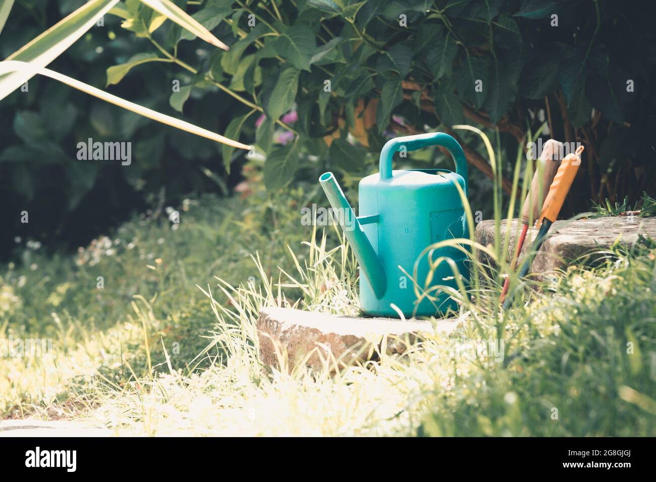Watering can on a path walk at a garden - gardening concept Stock Photo ...