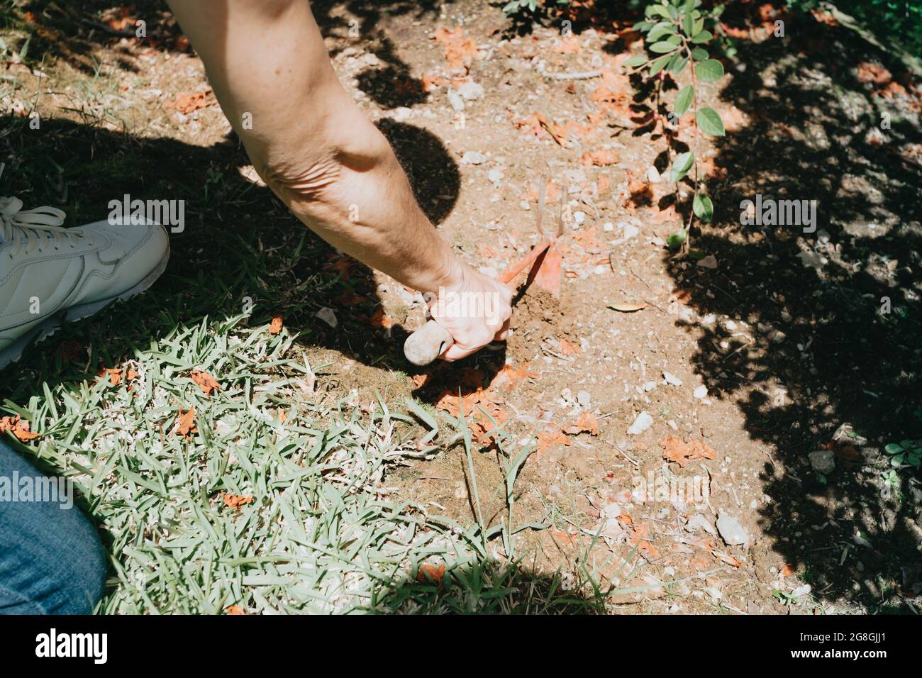 Shallow focus of a gardener digging soil using a hoe at a garden on a ...