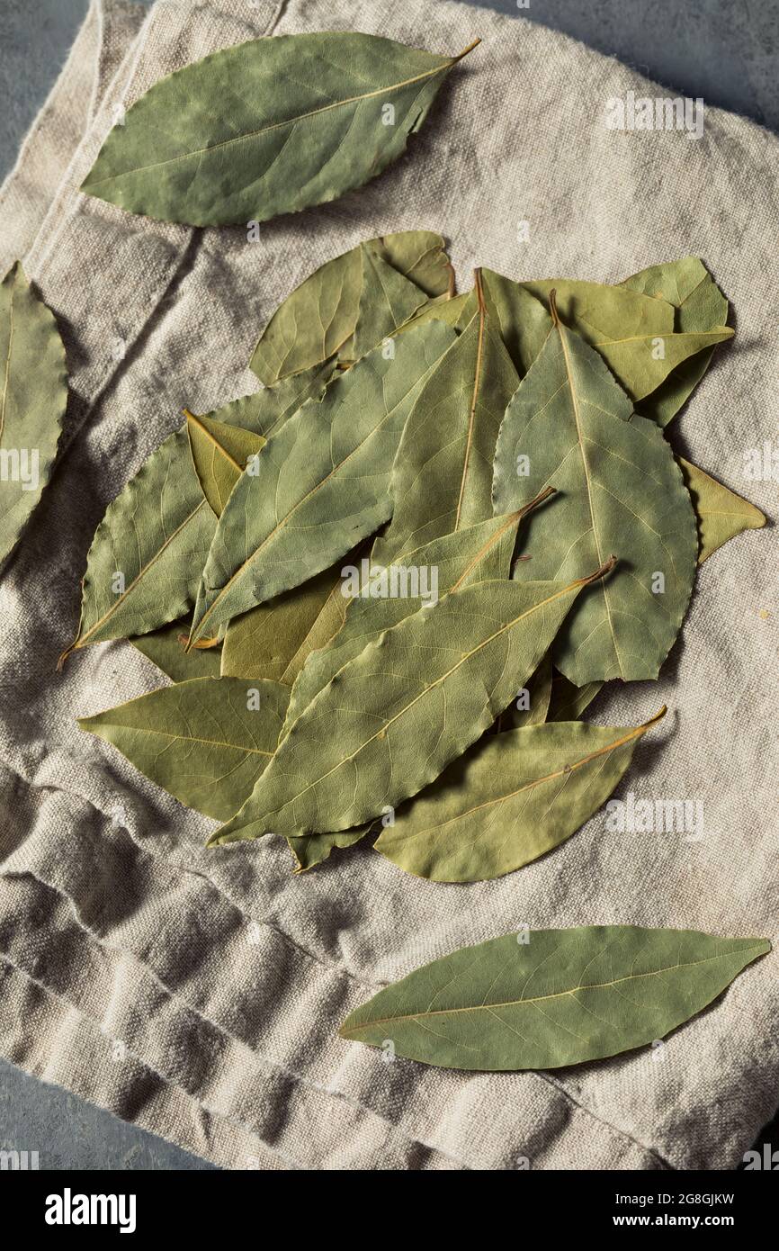 Bay leaves plant hi-res stock photography and images - Alamy