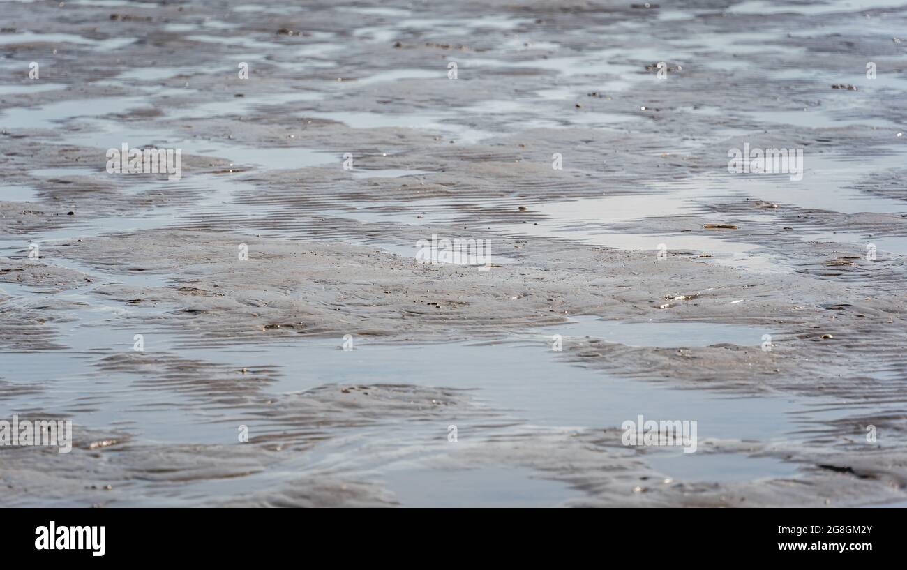 Wet sand texture at the beach Stock Photo - Alamy