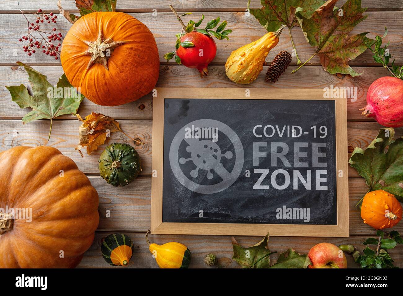 Covid free zone sign. COVID 19 FREE ZONE text label on thanksgiving ...