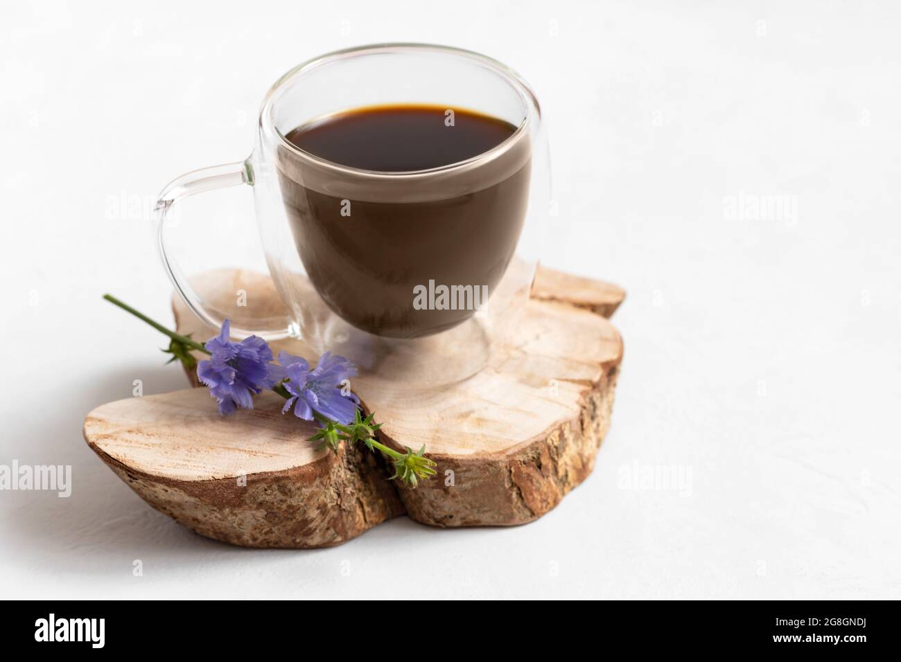 Chicory drink in a glass cup on a white background. Blue chicory flower ...