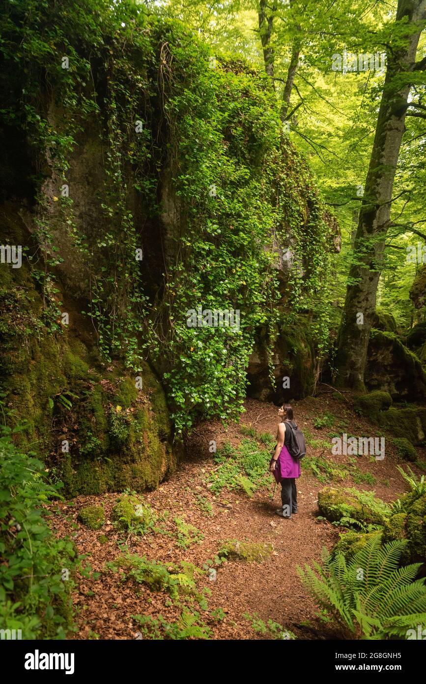 young woman hiking in forest mountain Stock Photo - Alamy