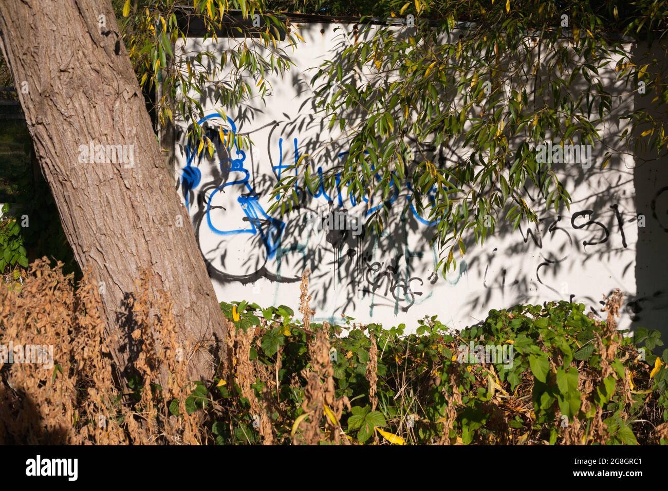 Graffiti on tree hi-res stock photography and images - Alamy