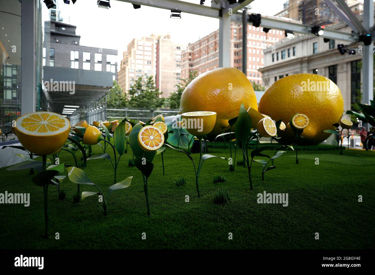 Fabricated lemon tree sculptures span the majority of a pedestrian ...