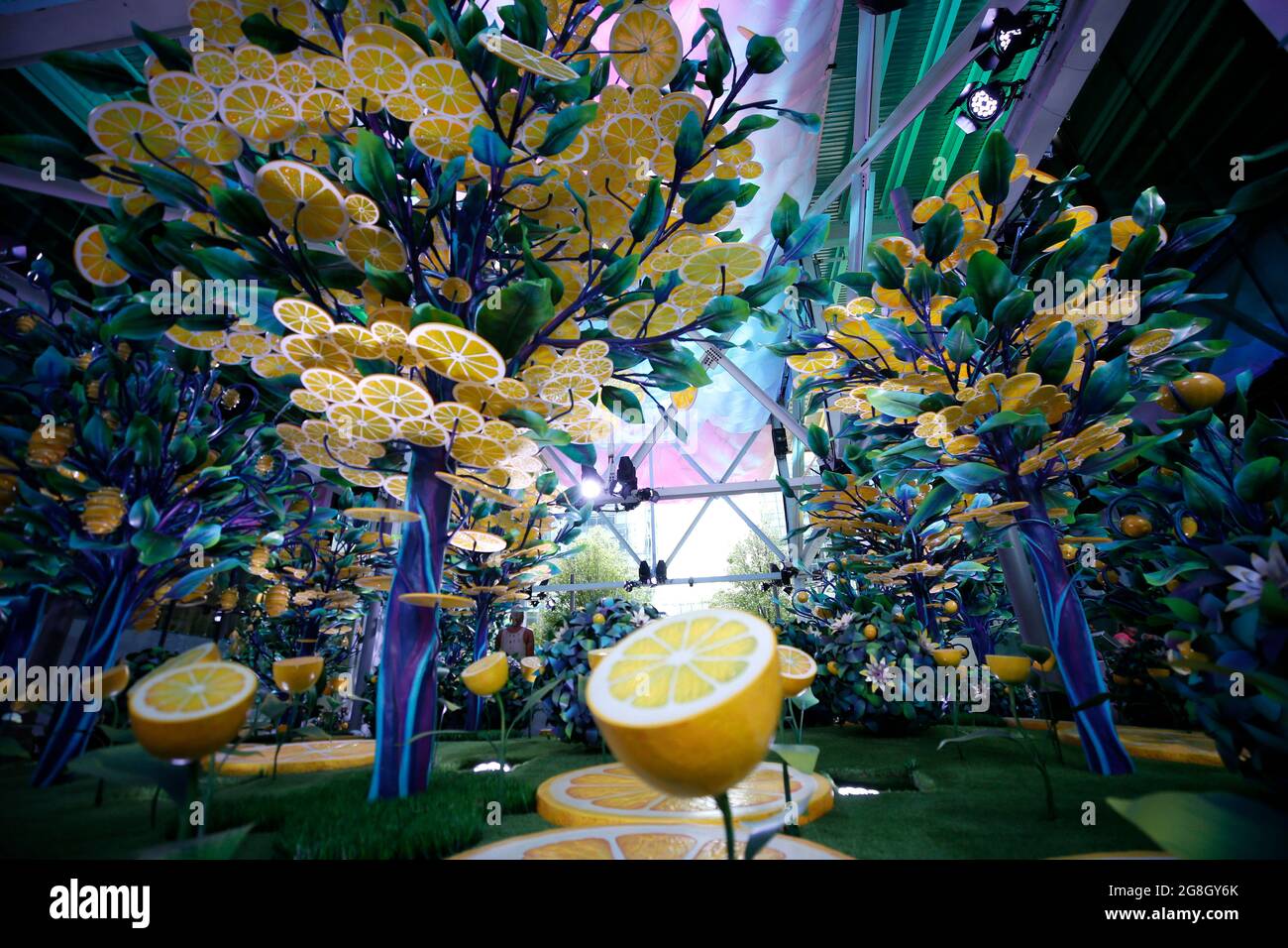 New York, United States. 18th July, 2021. Fabricated lemon tree ...