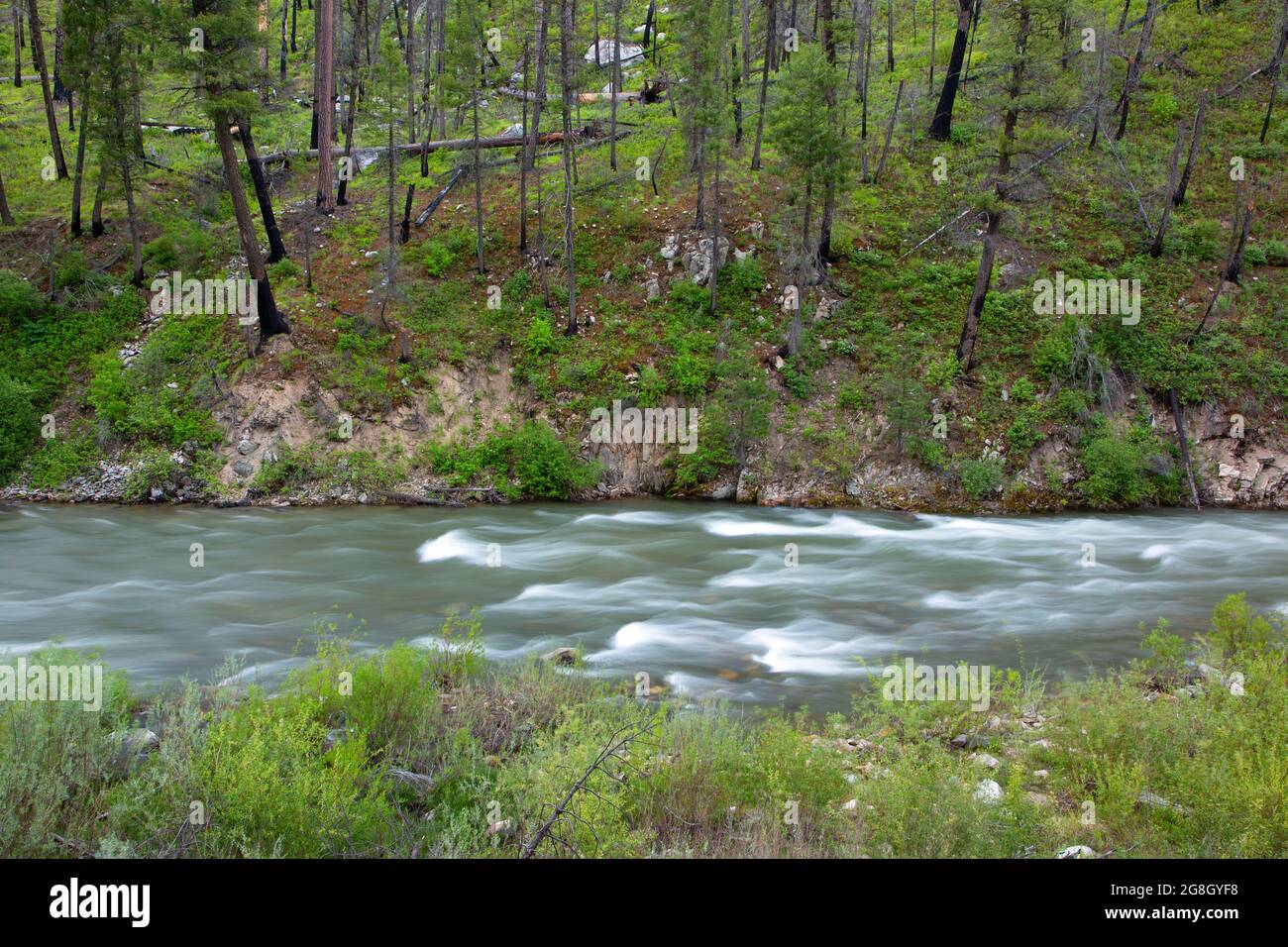 South Fork Payette River, Wildlife Canyon Scenic Byway, Boise National ...