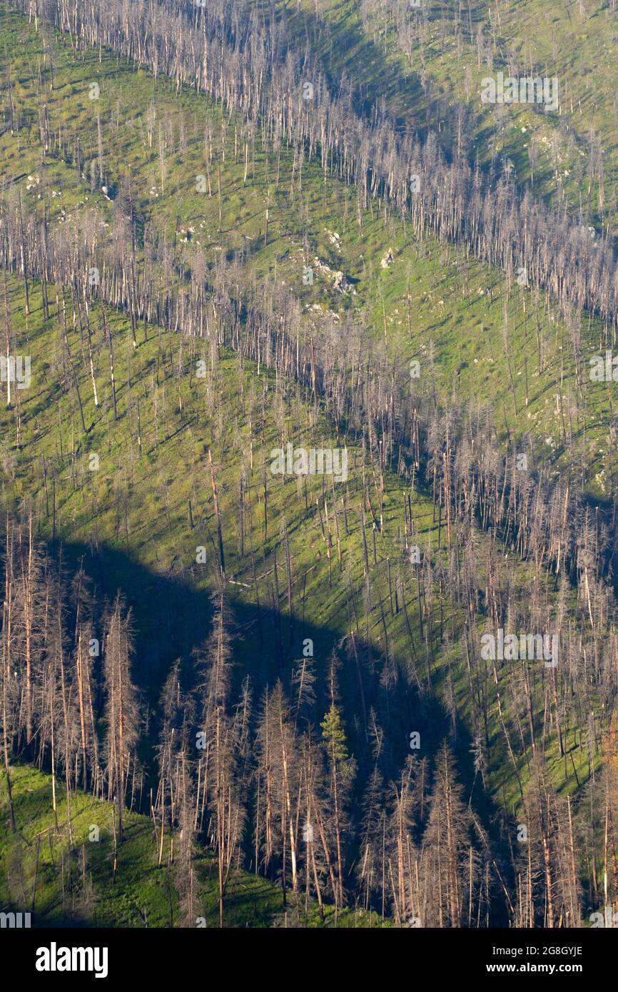 Boise national forest hi-res stock photography and images - Alamy