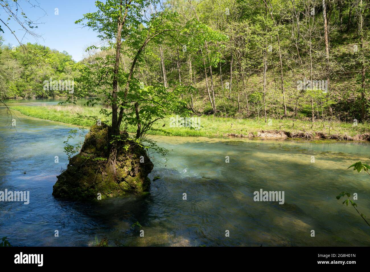 Beautiful clear spring blue water in Ha Ha Tonka State Park - Lake of ...
