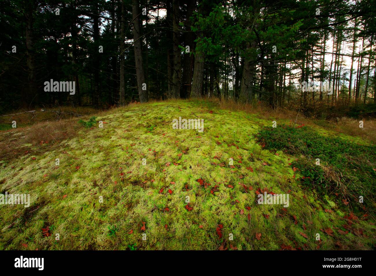 Mound hills hi-res stock photography and images - Alamy