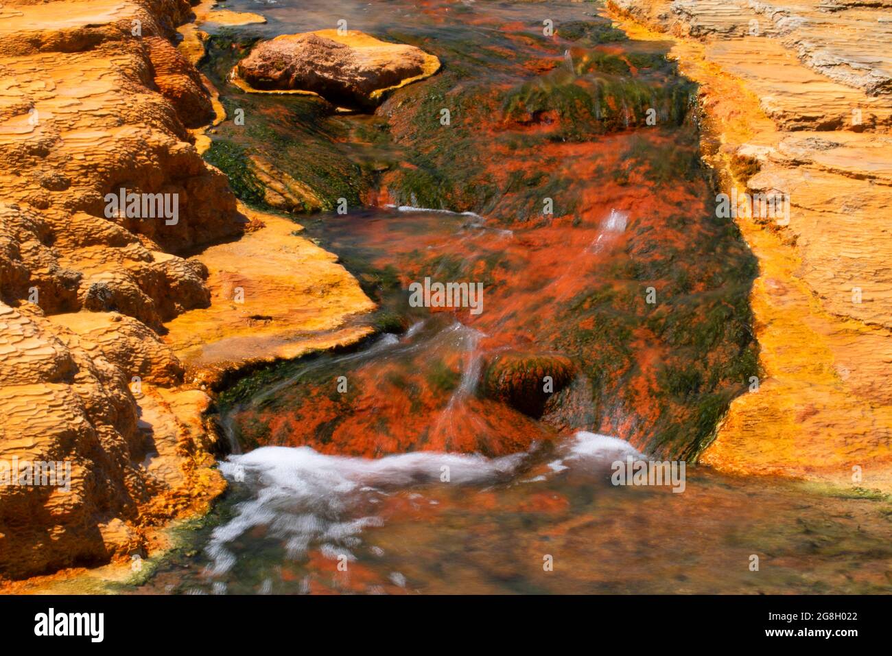 Geyser park hi-res stock photography and images - Alamy