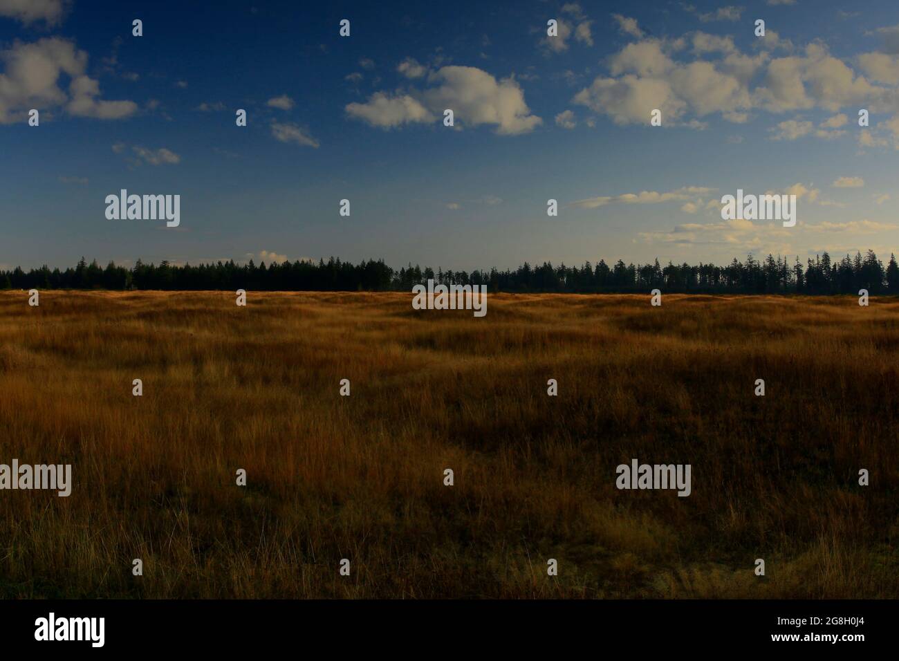 Mama mounds hi-res stock photography and images - Alamy