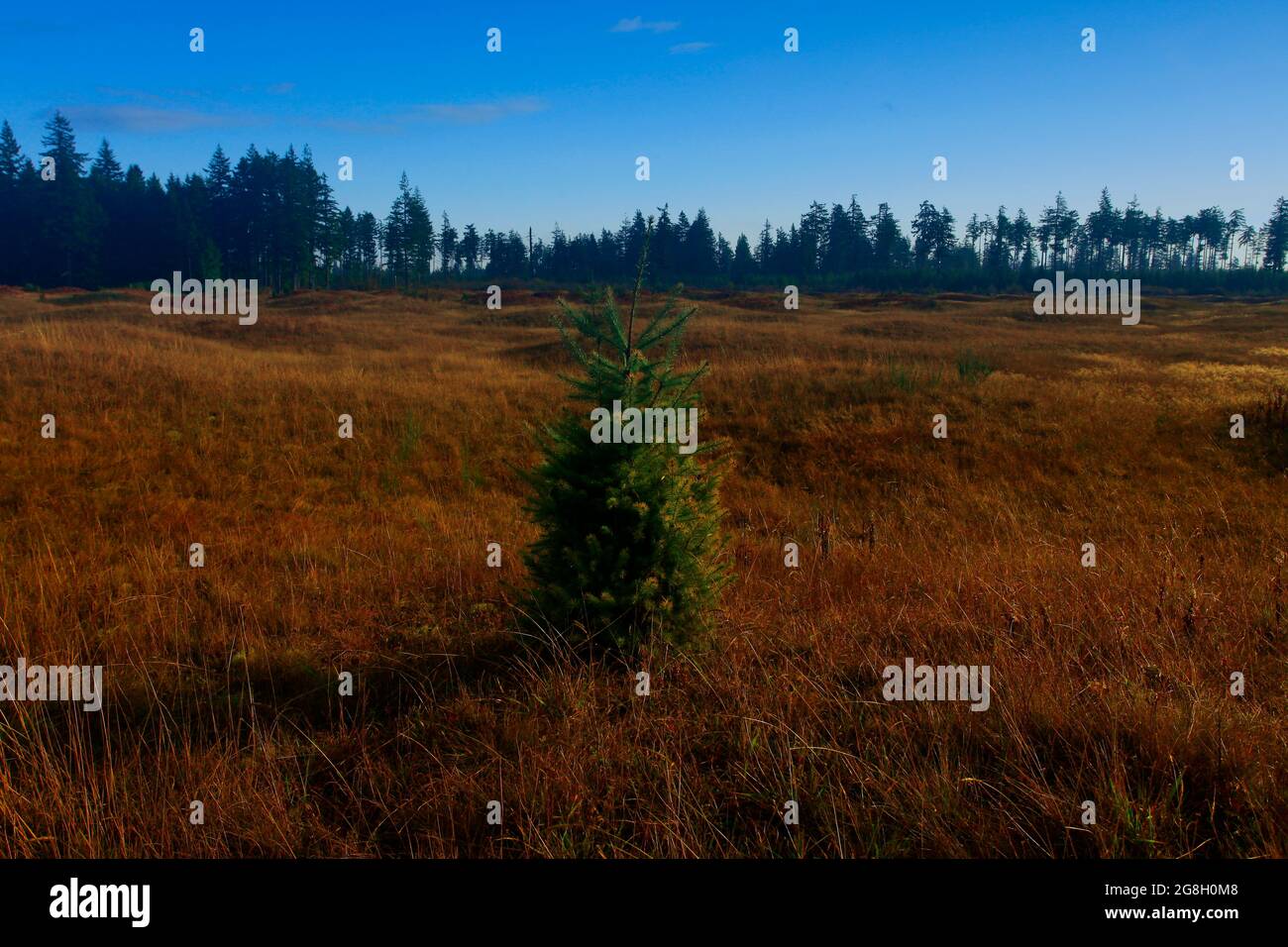 Mama mounds hi-res stock photography and images - Alamy