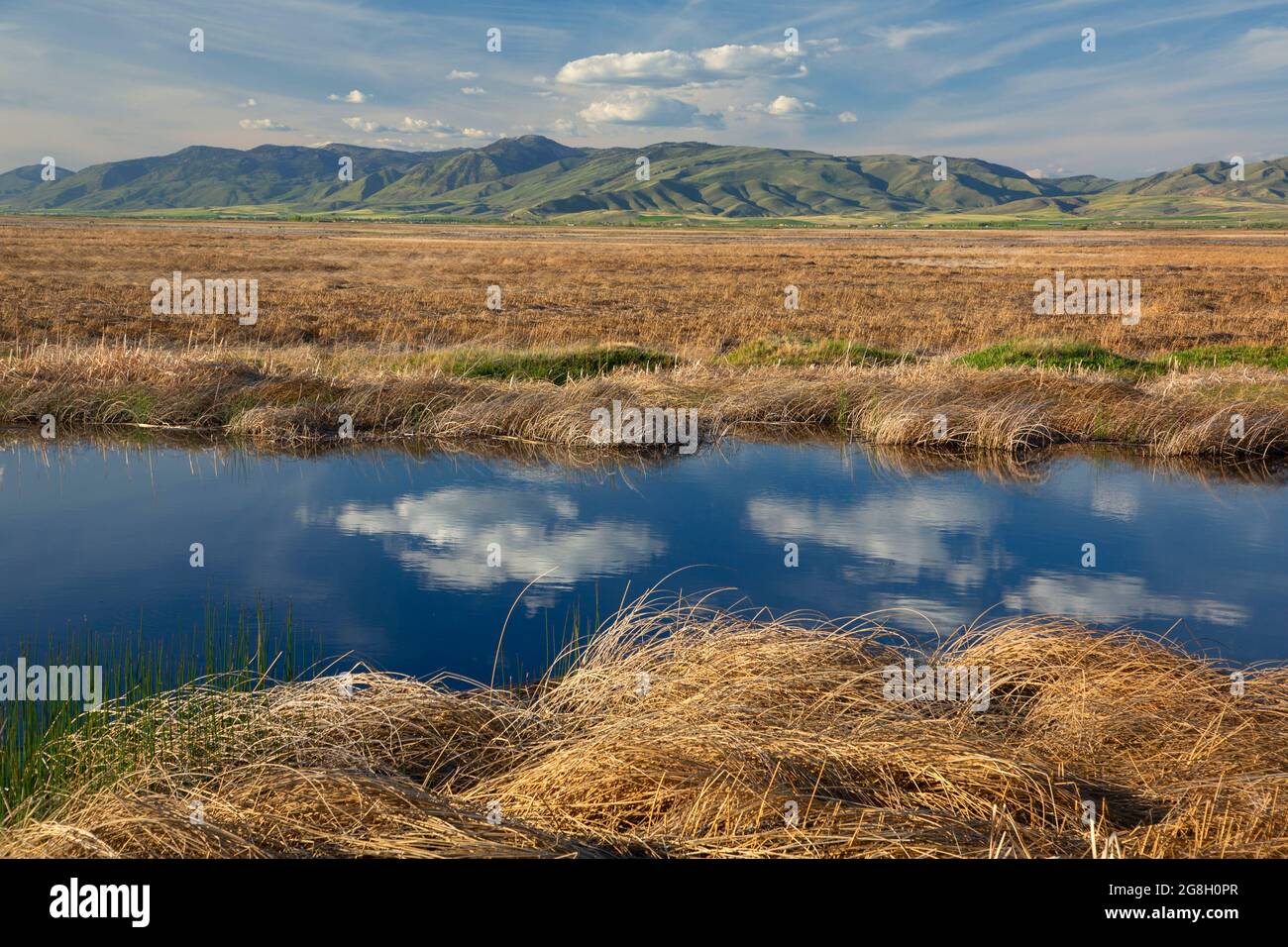 Marsh, Bear Lake National Wildlife Refuge, Idaho Stock Photo - Alamy