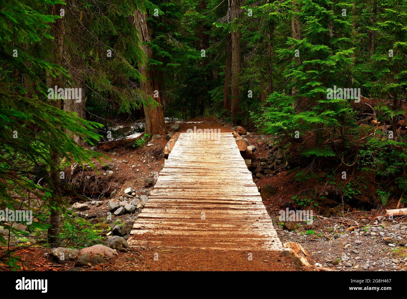 a exterior picture of an Pacific Northwest forest hiking trail Stock ...