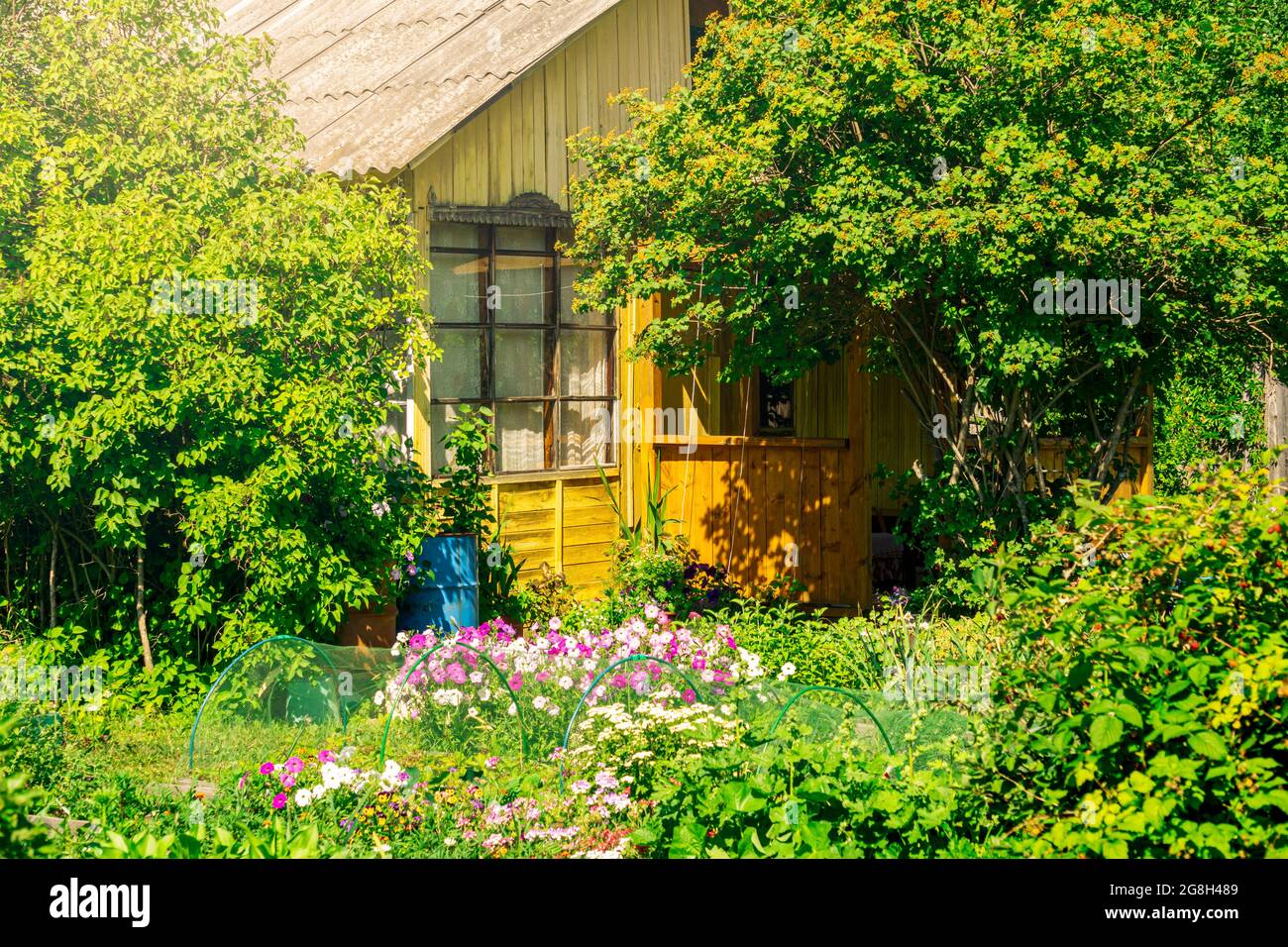 Traditional summer house dacha in hi-res stock photography and images ...