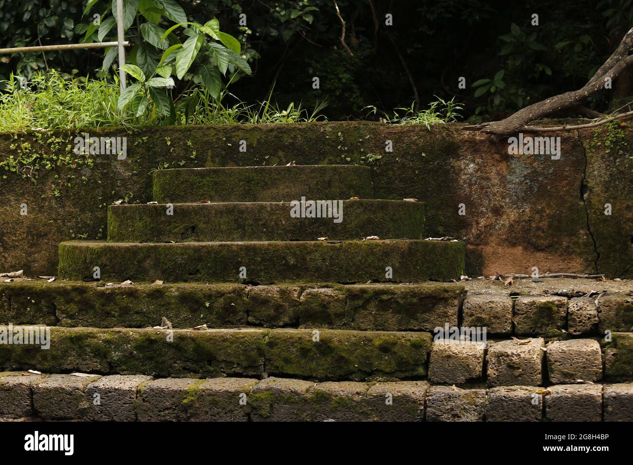 Green steps hi-res stock photography and images - Alamy
