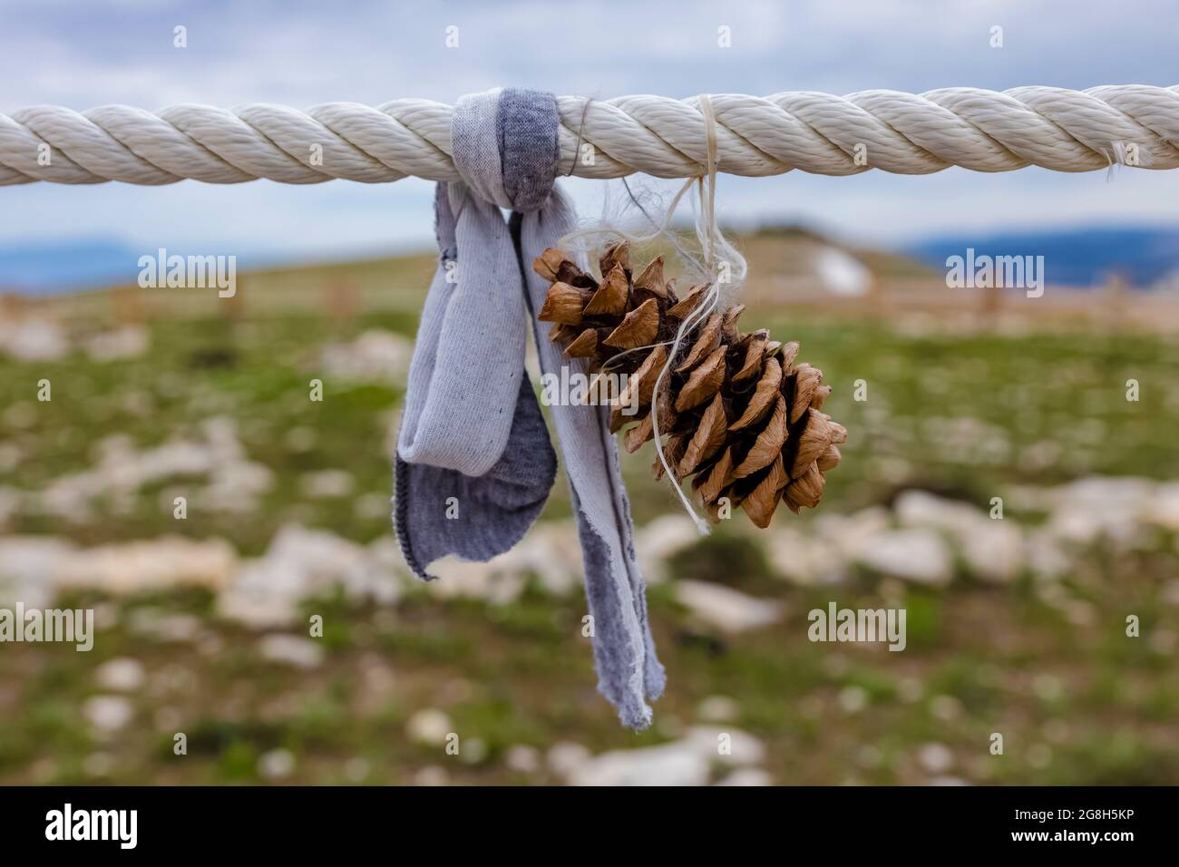 Prayer offering of pine cone and cloth left by Native Americans at the ...