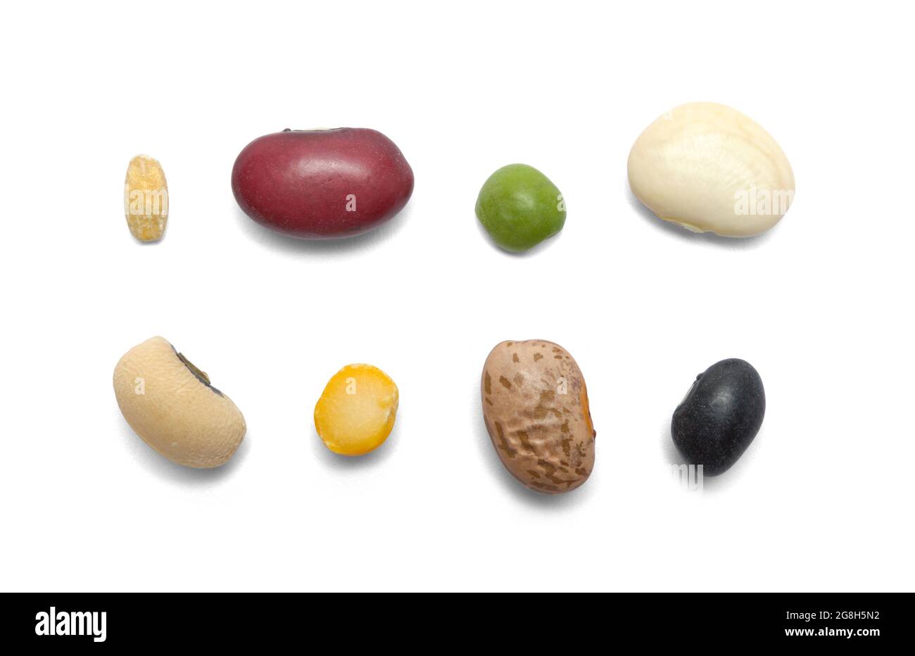 Various Beans Cut Out on White Background Stock Photo - Alamy