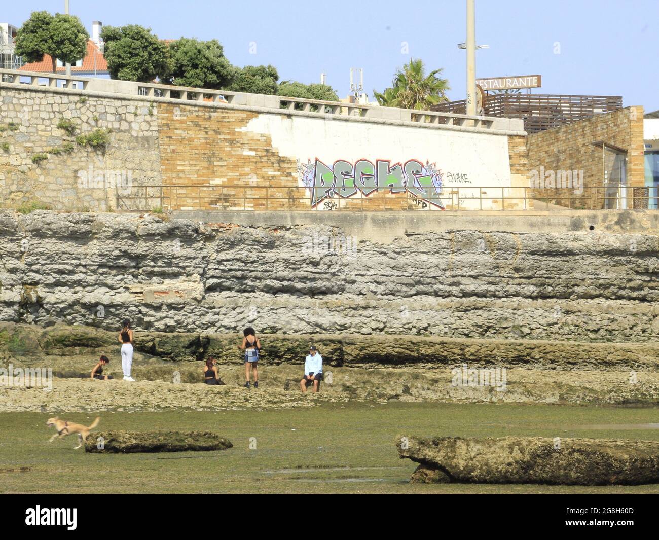 Praia das avencas hi-res stock photography and images - Alamy