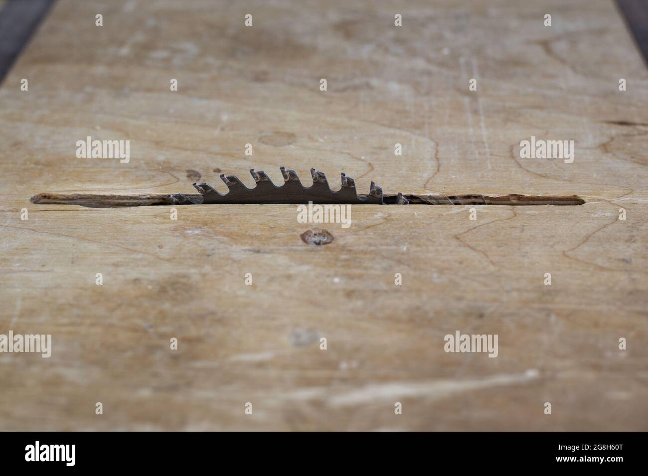 Serrated circular saw machine. Furniture manufacturing, wood sawing ...