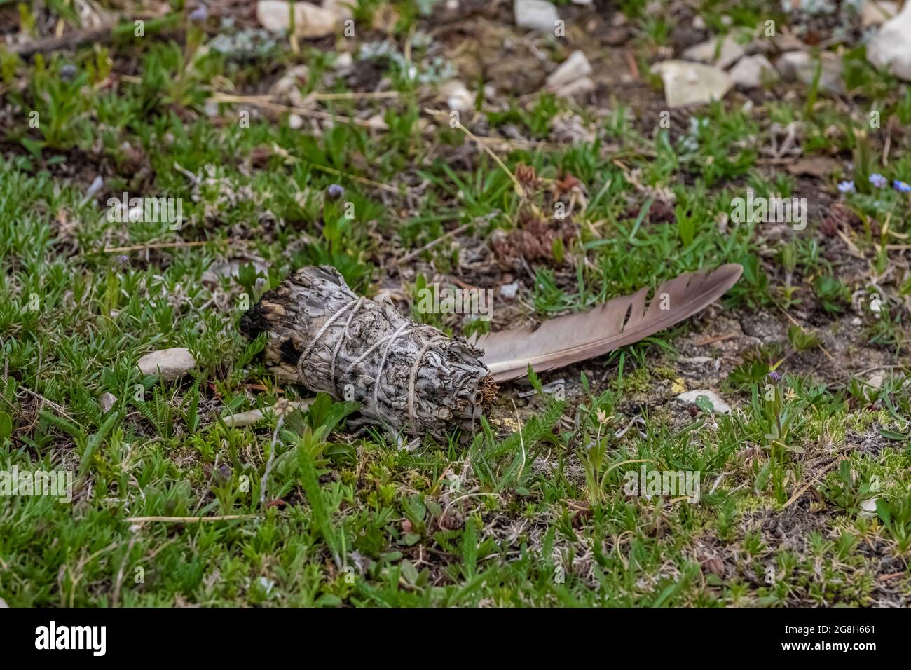 Prayer offering of scented sage bundle with a feather left by Native ...