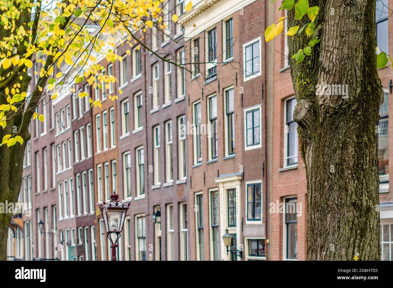 Typical Dutch architecture in Amsterdam, the Netherlands Stock Photo ...