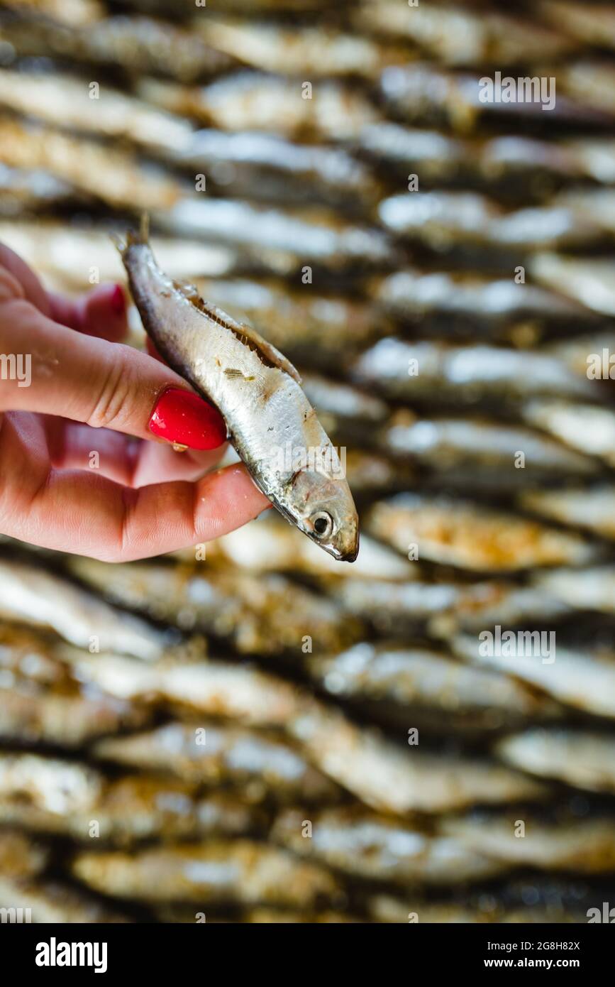 Vertical shot a hand holding a small fish to cook Stock Photo - Alamy