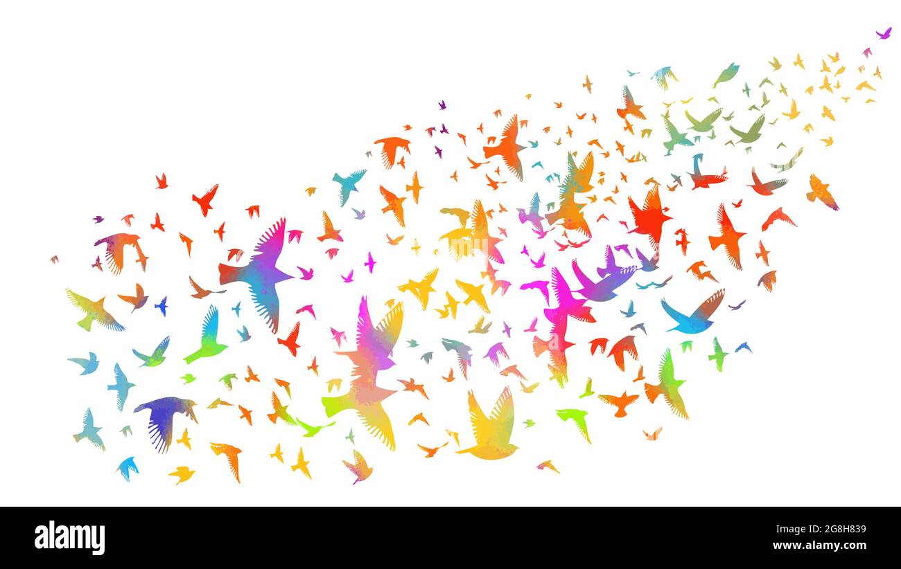 A flock of colorful birds. Vector illustration Stock Vector Image & Art ...