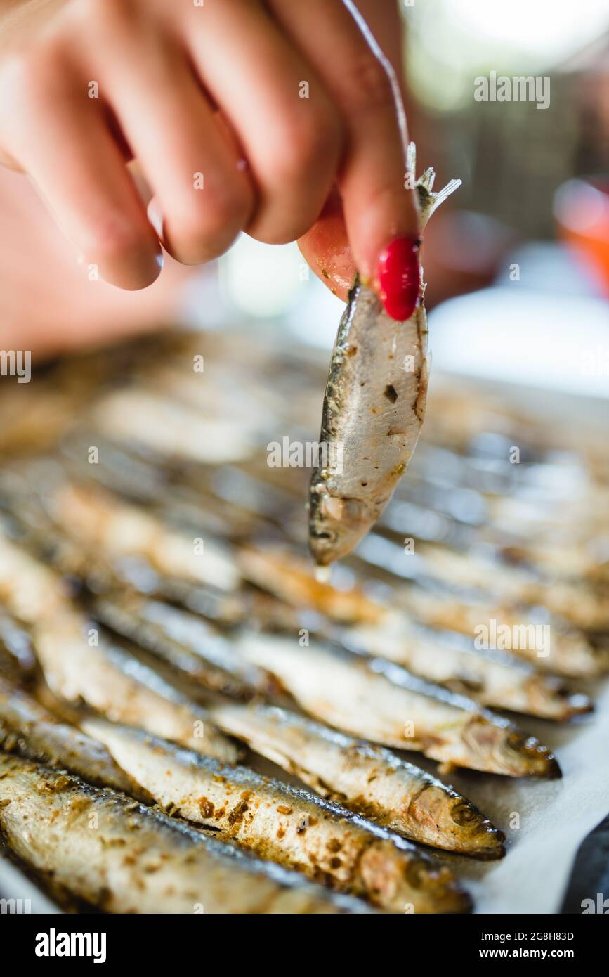 Vertical shot a hand holding a small fish to cook Stock Photo - Alamy
