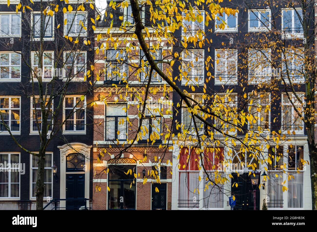Typical Dutch architecture in Amsterdam, the Netherlands Stock Photo ...