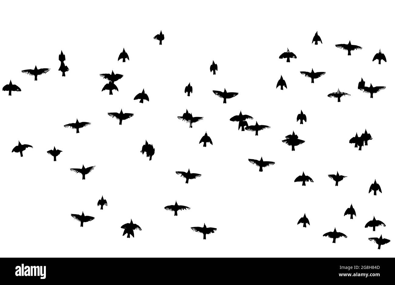A flock of flying birds. Vector illustration Stock Vector Image & Art ...