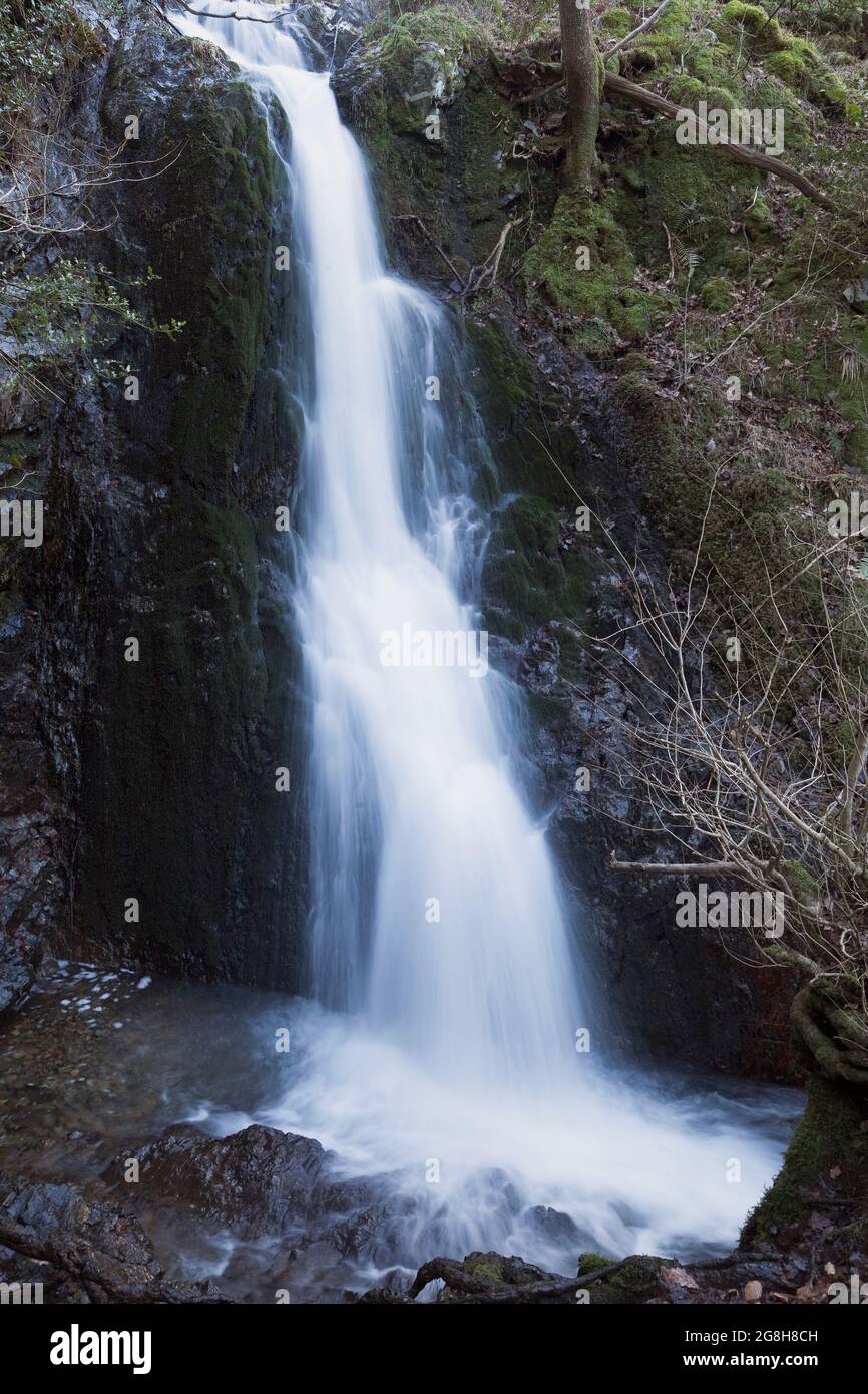 Tom Beck At High Resolution Stock Photography and Images - Alamy