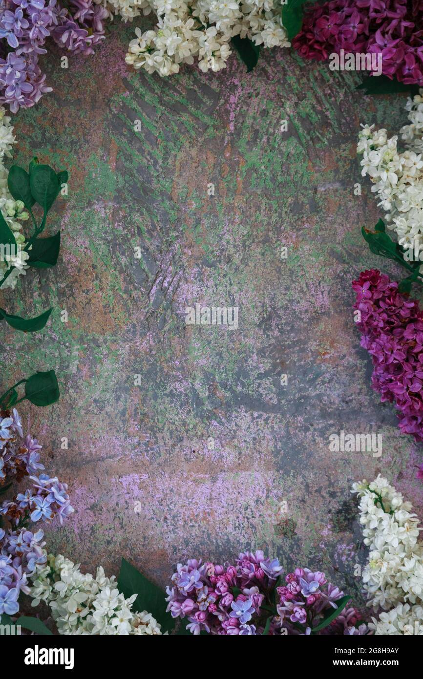 Background for greeting card greeting beloved woman wedding invitation ...