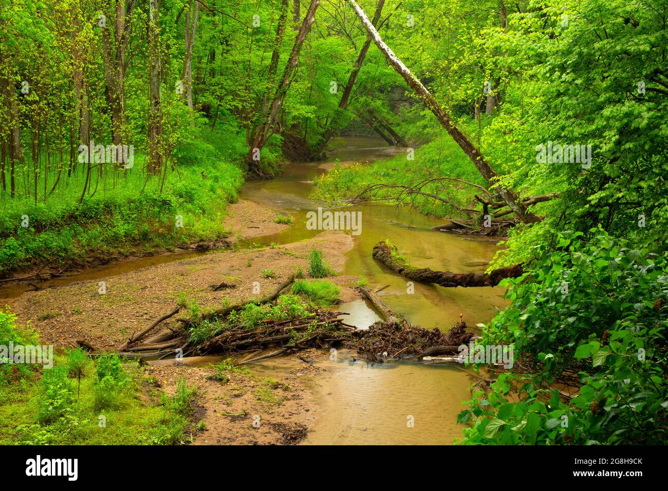 Bear Creek, Portland Arch Nature Preserve, Indiana Stock Photo - Alamy