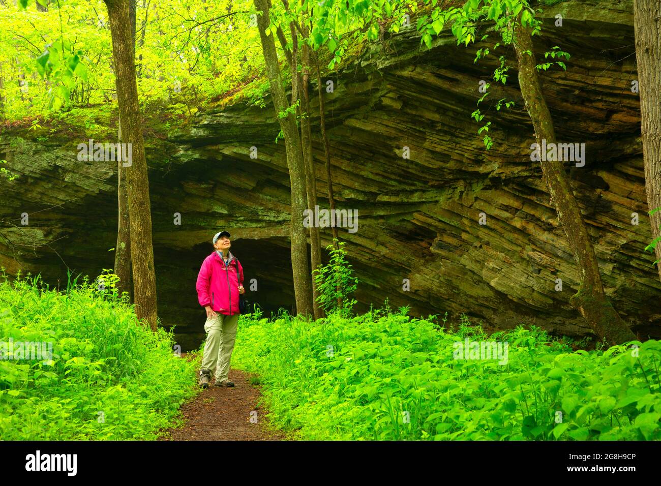 Trail below cliffs, Portland Arch Nature Preserve, Indiana Stock Photo ...