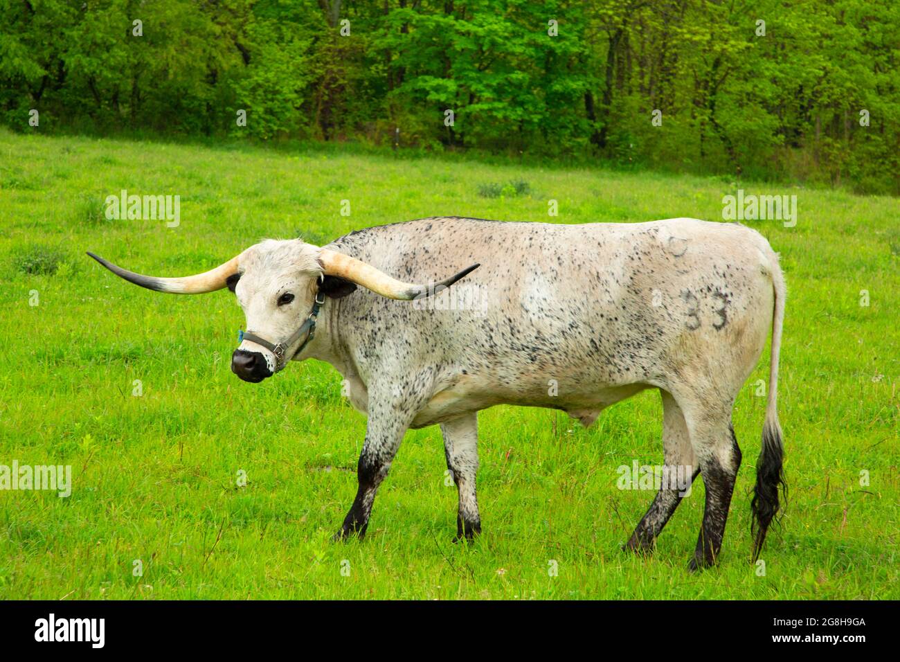 Fountain county hi-res stock photography and images - Alamy