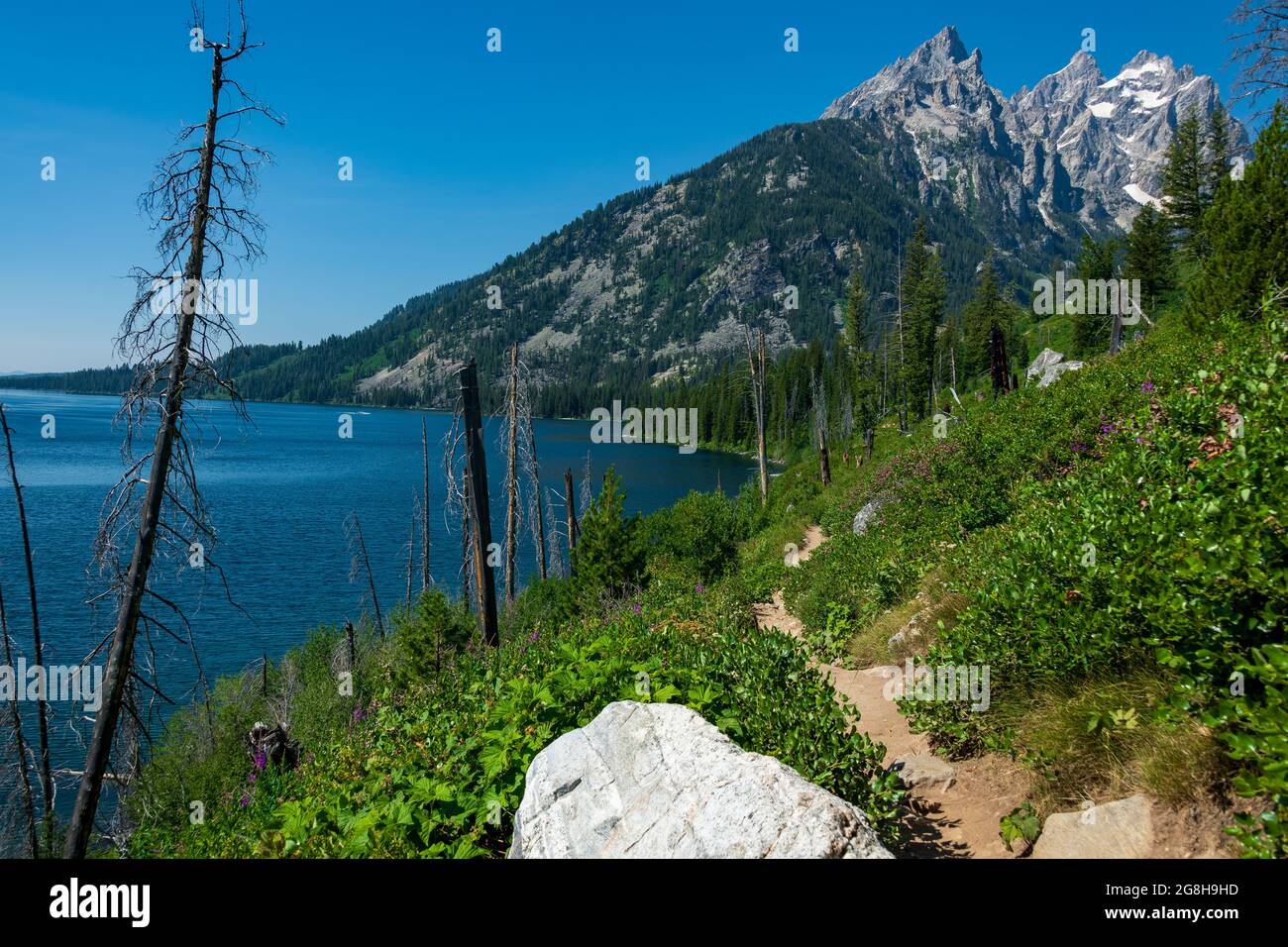 Jenny Lake Trail to Inspiration Point Stock Photo - Alamy